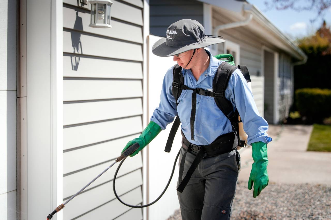 Child and Pet Safe Pest Control: Tips from Colonial Lawn Experts