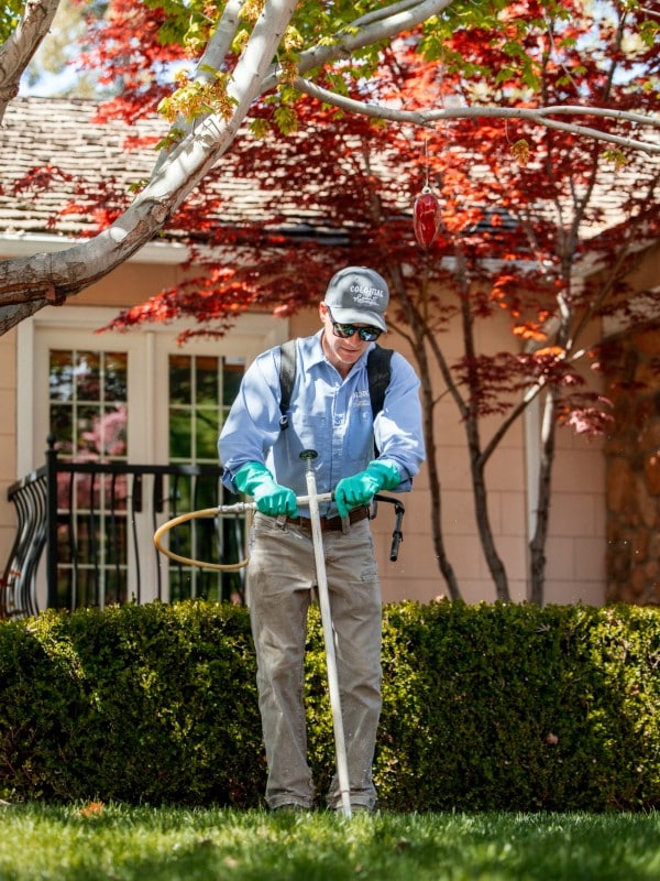 Pre-Emergent Weed Control in Yakima | Colonial Lawn & Garden